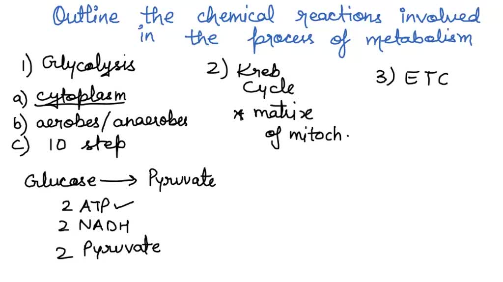 SOLVED: Complete the following reaction showing how glucose can be ...