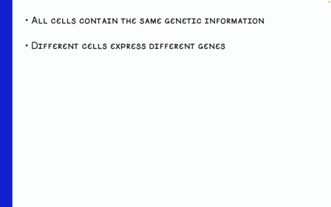 Gene Expression - Part 1 Which statement is correct? ? All...