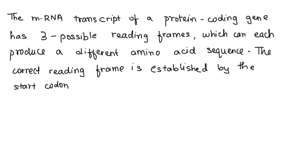 SOLVED: Explain why the mRNA transcript of a protein-coding gene has three possible reading ...