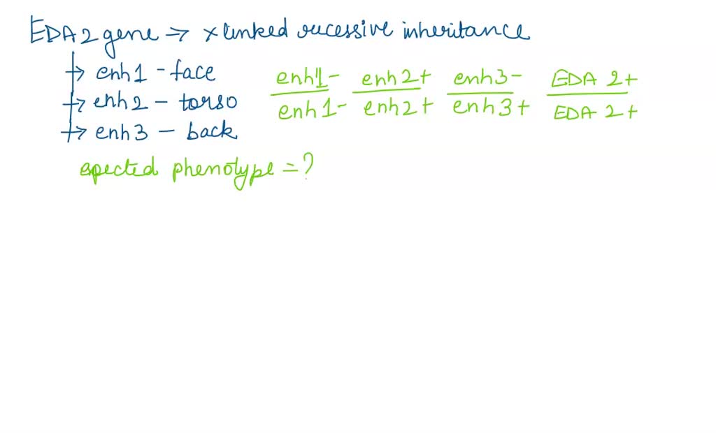 SOLVED: QuestionZ 2 pts 7. (Ipt) In humans, mutations in the EDAZ gene ...