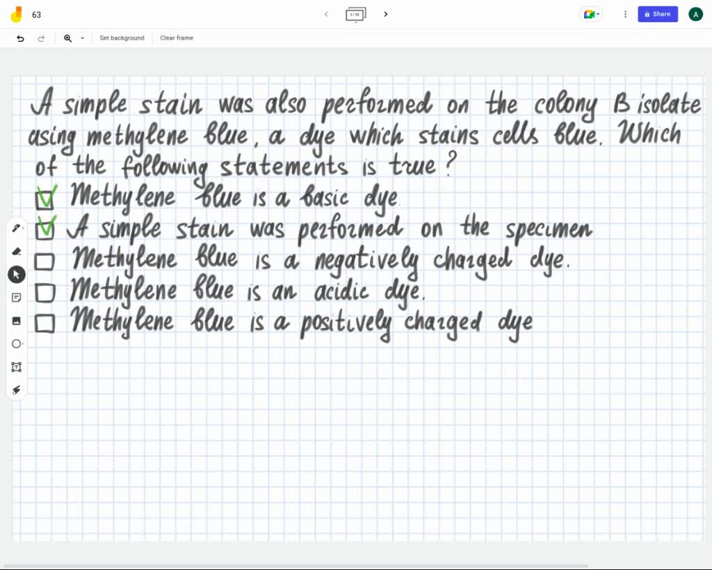 SOLVED: A simple stain was also performed on the colony B isolate using ...