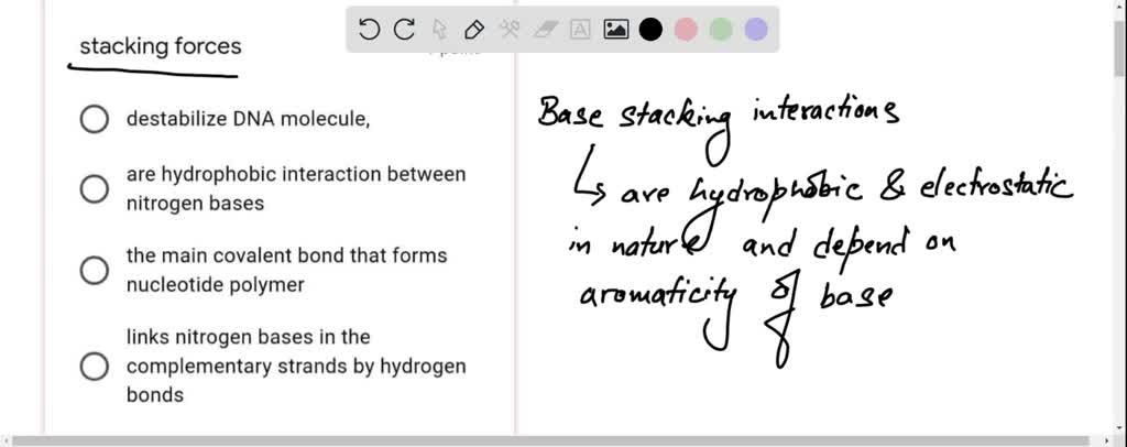 SOLVED: stacking forces point destabilize DNA molecule, are hydrophobic ...