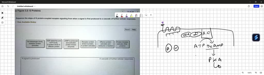 SOLVED: Refer to the flowchart showing the steps involved in a G ...