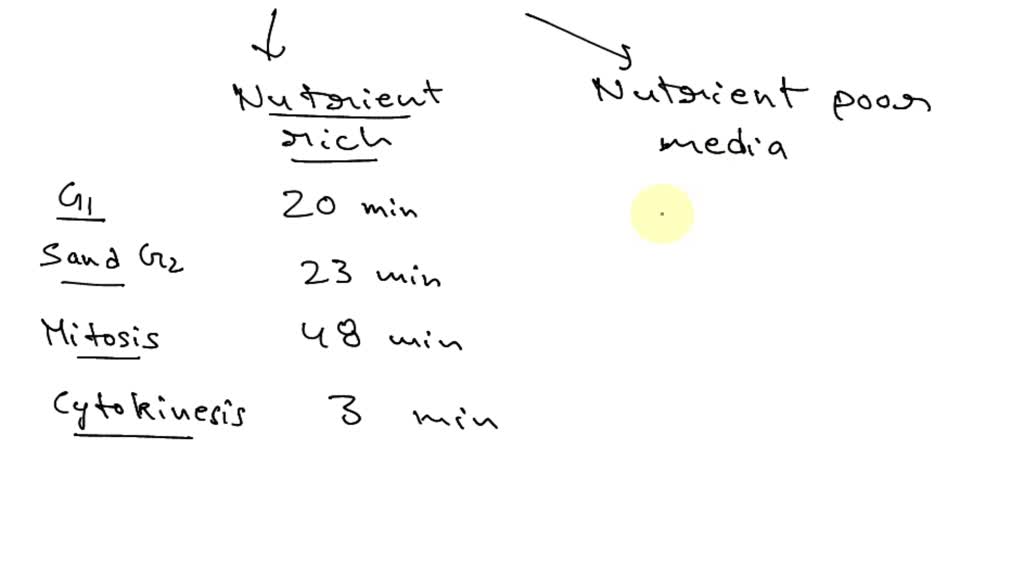 A group of researchers cultured yeast cells in a nutrient-rich ...