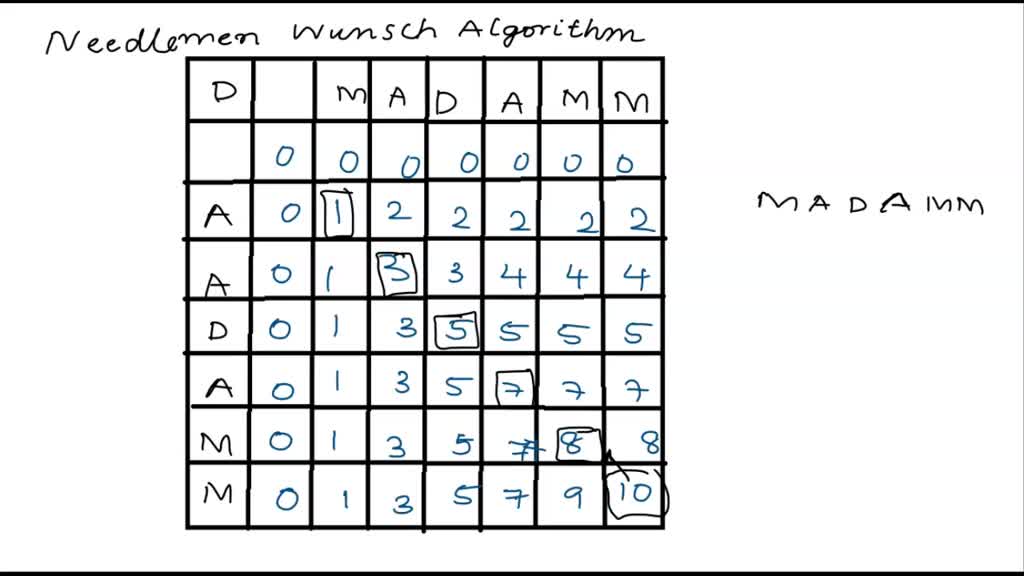 SOLVED: Sequence 1: MADAM Sequence 2: ADAM Do the Needleman-Wunsch algorithm for global ...