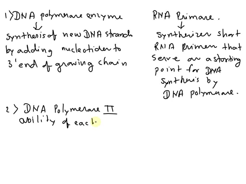 SOLVED: Polymerase, and 3) How can you distinguish experimentally among ...