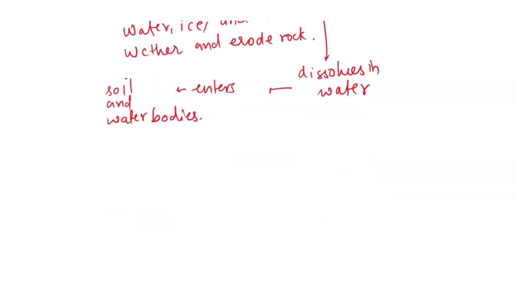 Trace the pathway of a phosphorus molecule from a phosphate-rich rock ...