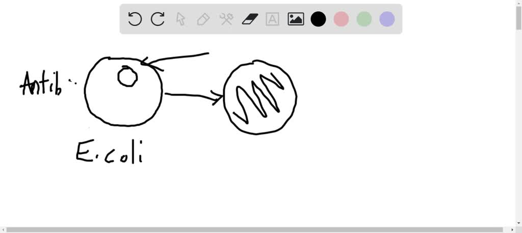 SOLVED: Imagine that you have set up a Kirby Bauer experiment on ...