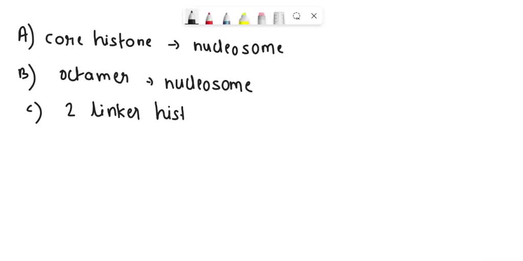 Solved Which Does Not Describe Eukaryotic Histones In A Nucleosome Structure A A Core Histone