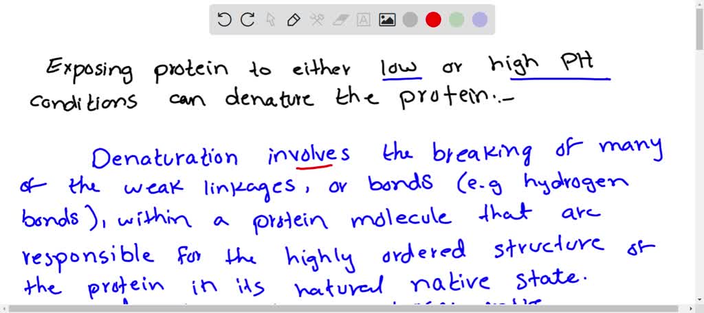 More complex configurations of proteins can be denatured by abiotic ...
