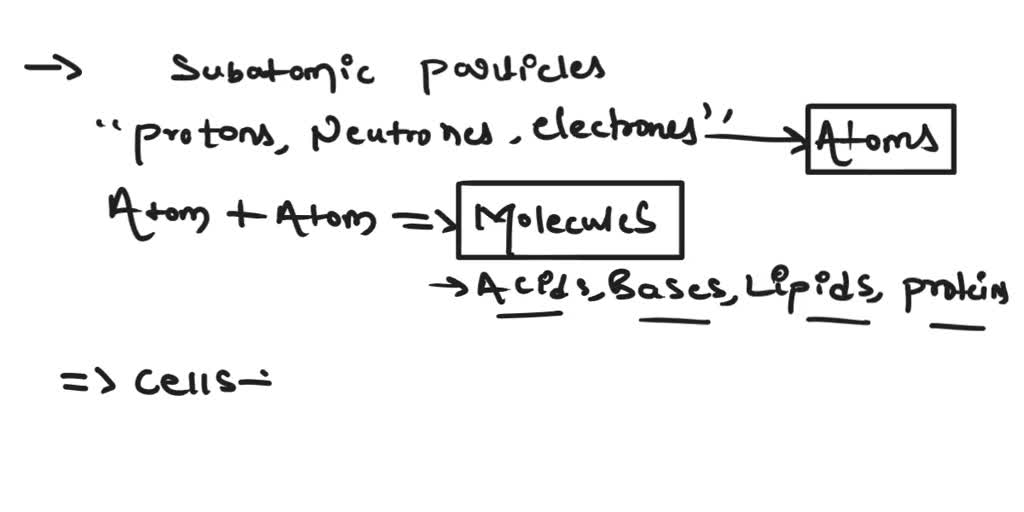 SOLVED: put these words in order of a concept map: Atoms Phenotype ...