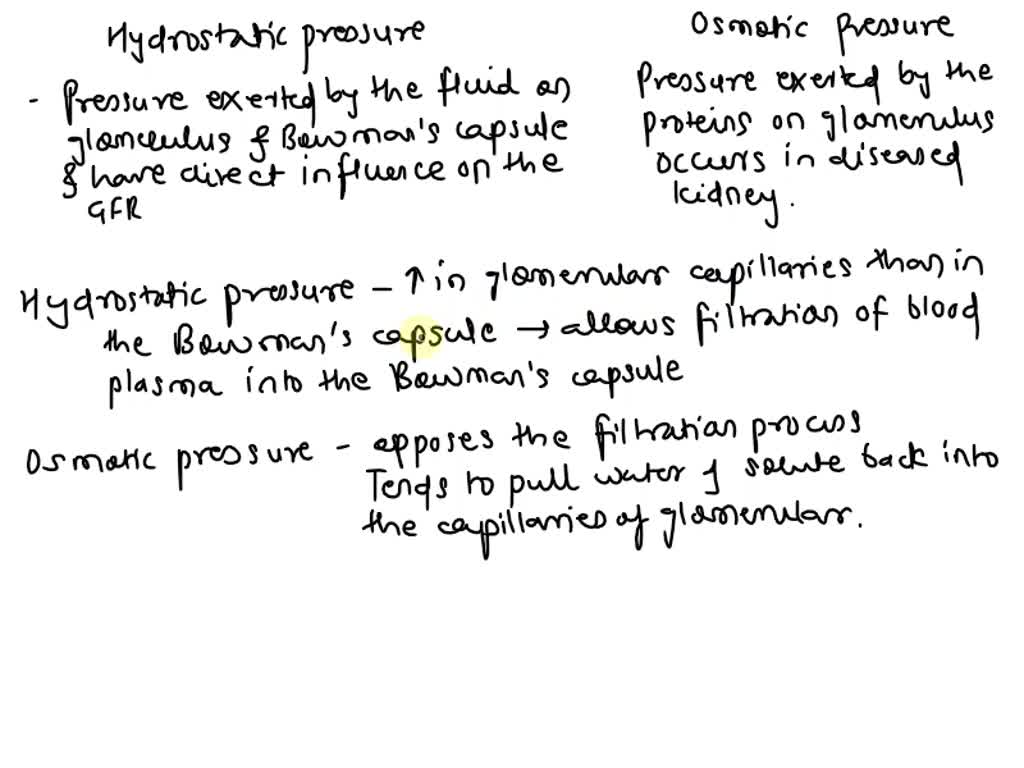 SOLVED: whats the difference between glomerular hydrostatic pressure ...
