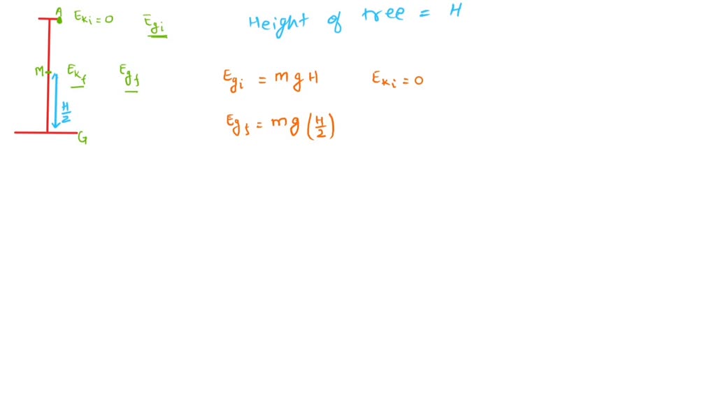SOLVED: An apple hanging from a limb has potential energy because of ...