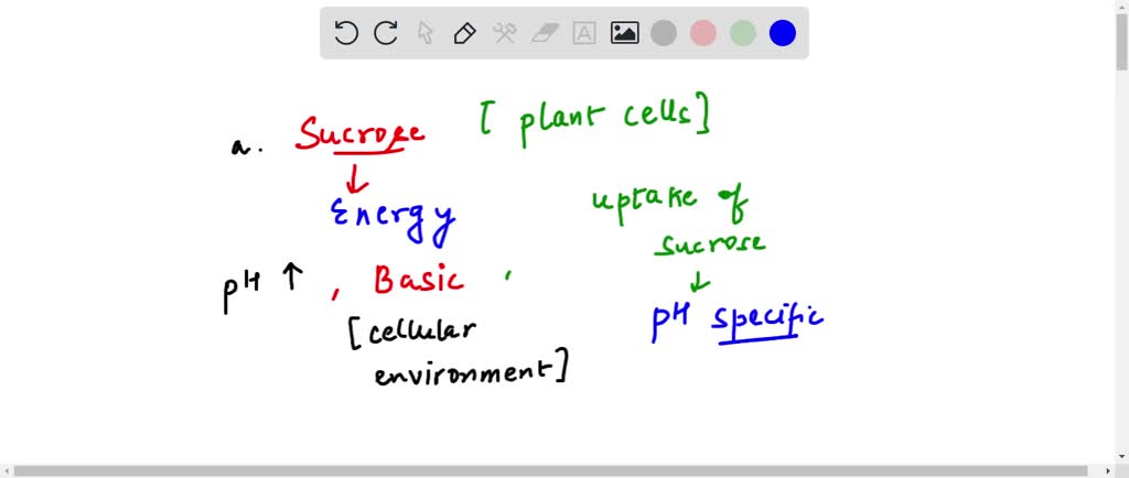 SOLVED: An experiment is designed to study the mechanism of sucrose ...