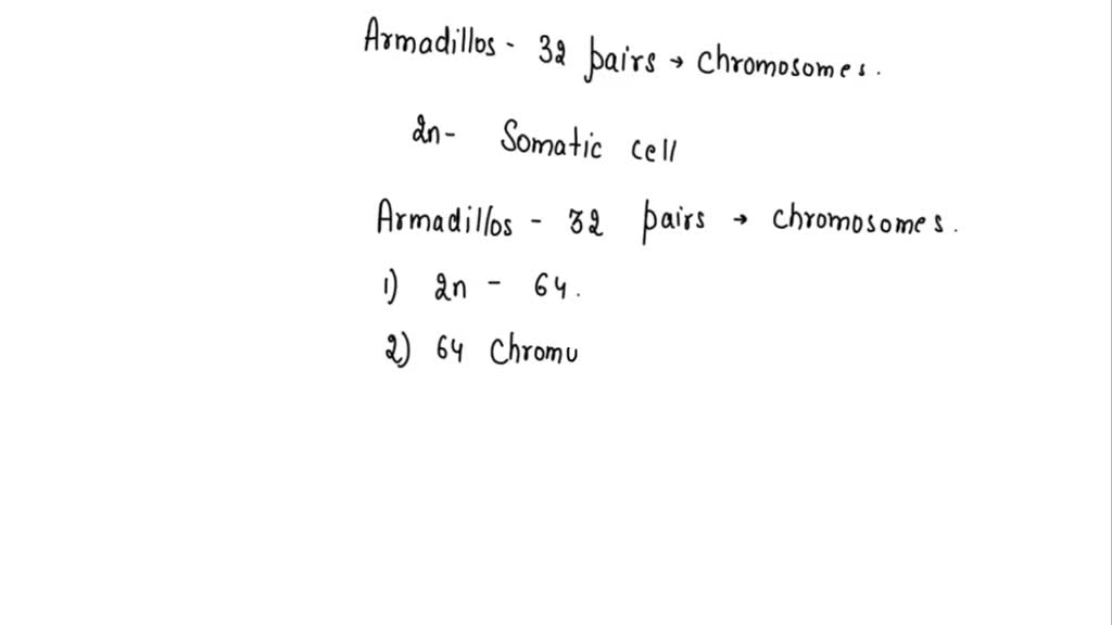 SOLVED: Number Talk. Armadillos have 32 pairs of chromosomes 18. What ...