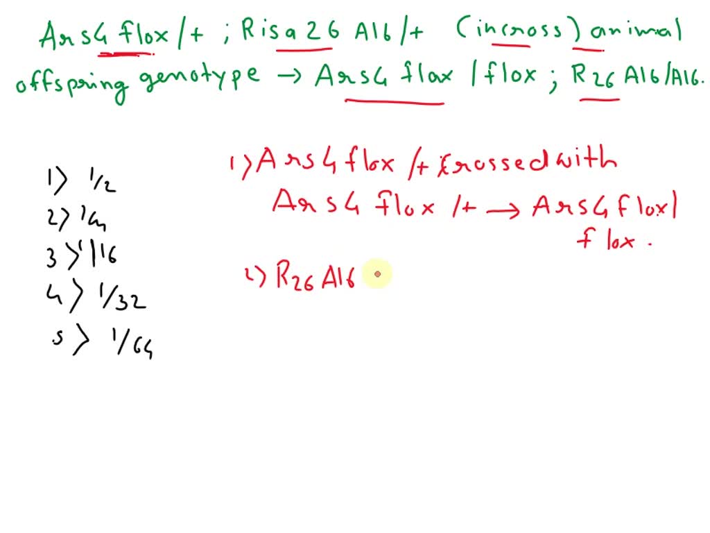 SOLVED: You are performing an incross of an animal that has the ...