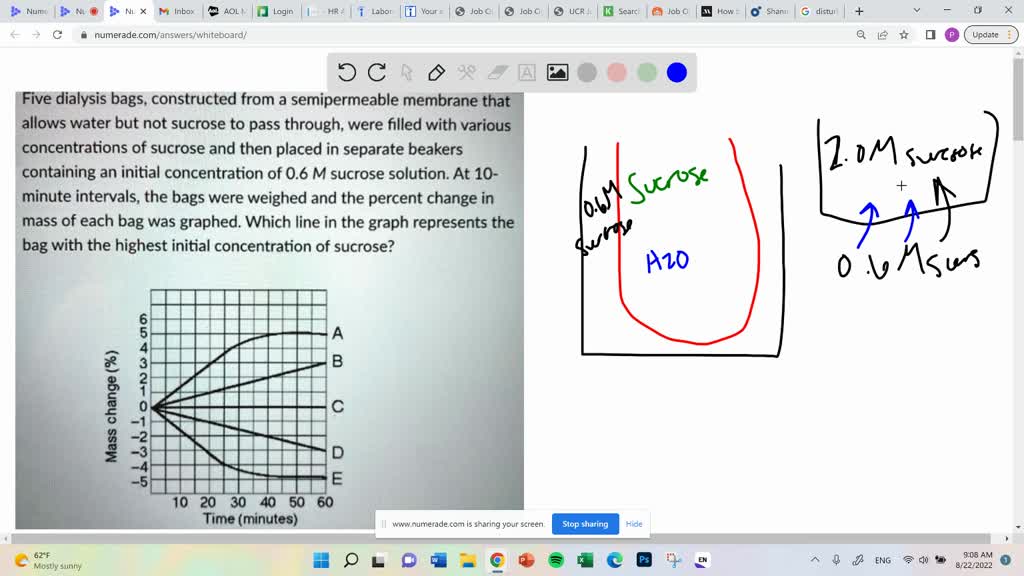 SOLVED: Five dialysis bags, constructed from a semipermeable membrane that allows water but not ...