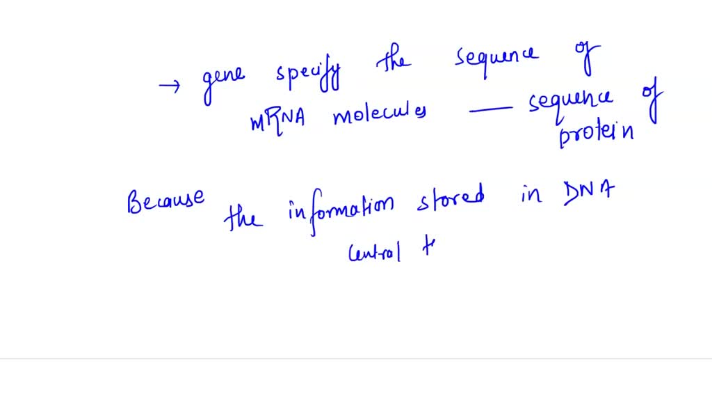 SOLVED: Replication is the first process that should occur in the ...