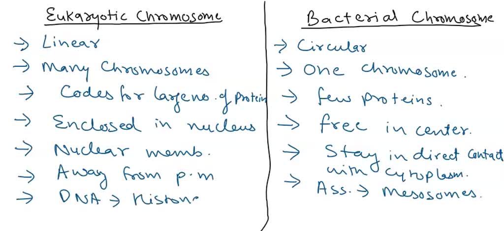 SOLVED: What are the differences between bacterial chromosomes and ... SOLVED: What are the differences between bacterial chromosomes and ...