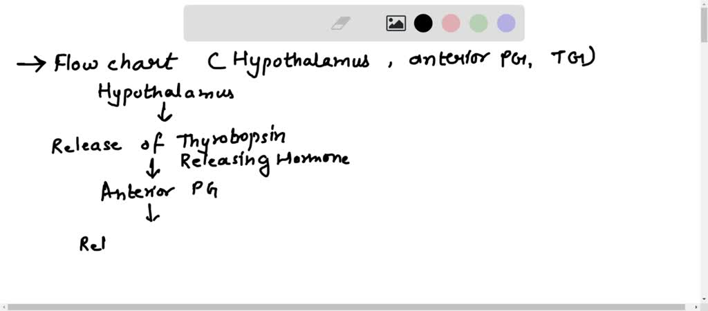 SOLVED: 3. Create a flow chart illustrating the relationship between ...