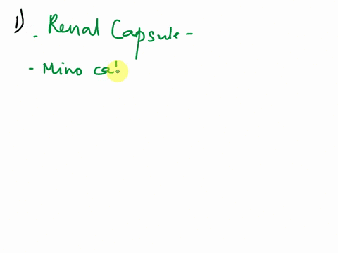 Renal hilum Renal sinus Major calyx Minor calyx Renal column (with ...