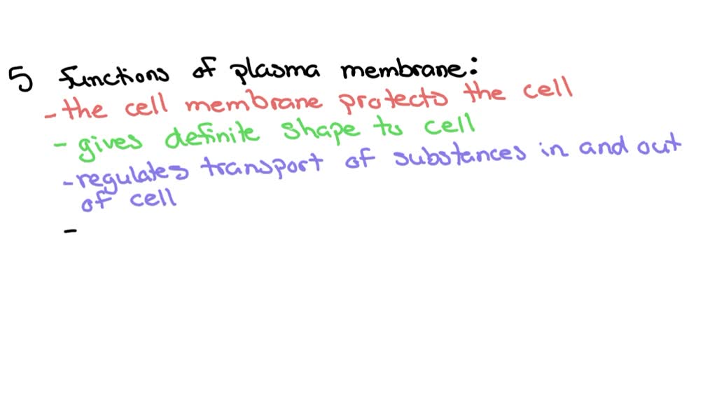 SOLVED: list five functions of plasma membrane? SOLVED: list five functions of plasma membrane?