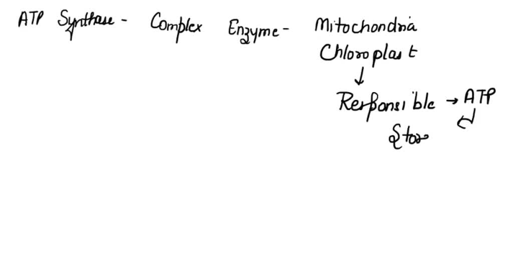 SOLVED: In your own words, describe how the cysteine synthase complex ...
