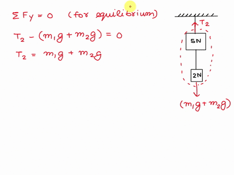 13. Two blocks of weight 5 N and 2 N are attached to two...