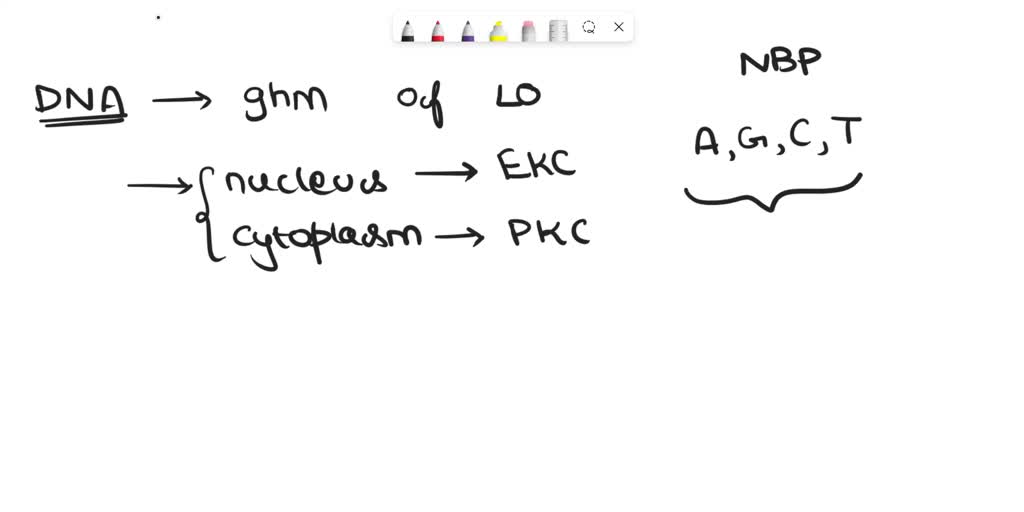 Solved A Palindrome Is A Sequence That Is The Same When Read From Either Direction Which Of 1922