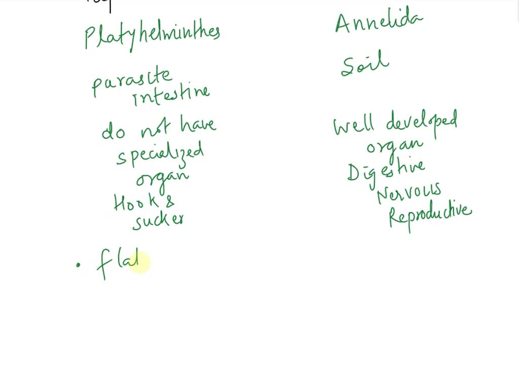SOLVED: 10 difference between tapeworm and earthworm SOLVED: 10 difference between tapeworm and earthworm