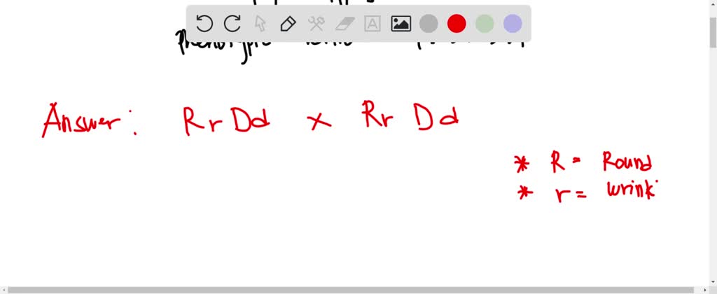 SOLVED: Which rrdd x RrDd x RRDD X RRDD RrDd x Jo rrdd rrdd the RrDd ...