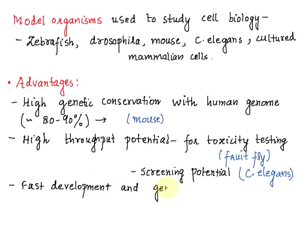 SOLVED: Summarize the pros and cons of using different model organisms ...