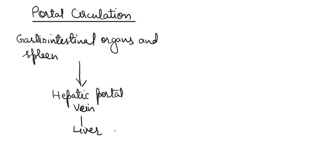SOLVED: 1- Draw a simplified illustration for the portal circulation 2 ...