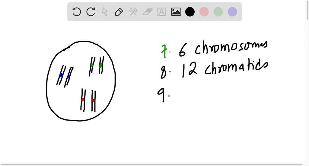 Use the following figure to answer questions 7-10. How many chromosomes ...
