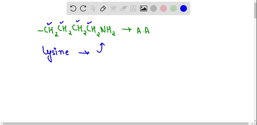 SOLVED: Which is an amino acid basic side chain? -CH3 -CH2OH -CH2CO2H ...
