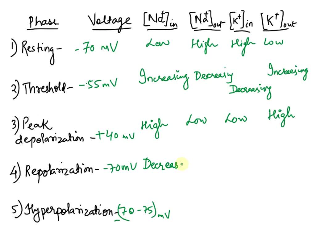 SOLVED: Te2o+8 Part II: Modeling the Action Potential 2n. Fill in the ...
