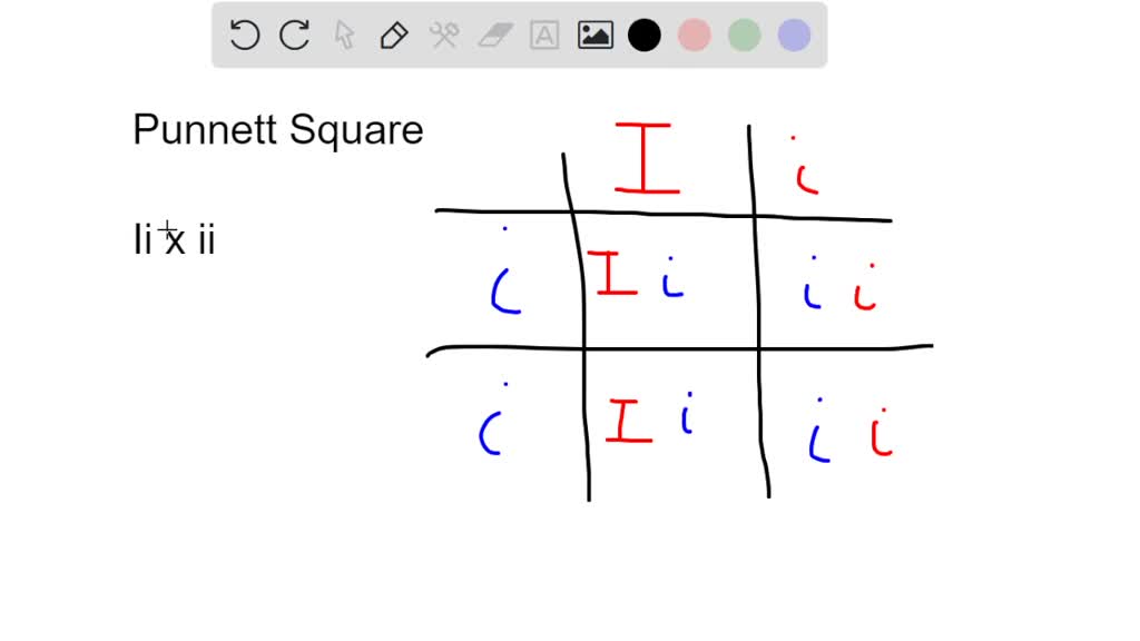 SOLVED: A pea plant heterozygous for inflated pods (Ii) is crossed with ...