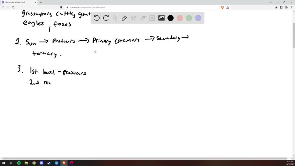 SOLVED: using the provided image of a food web please answer the following questions 1. Name at ...