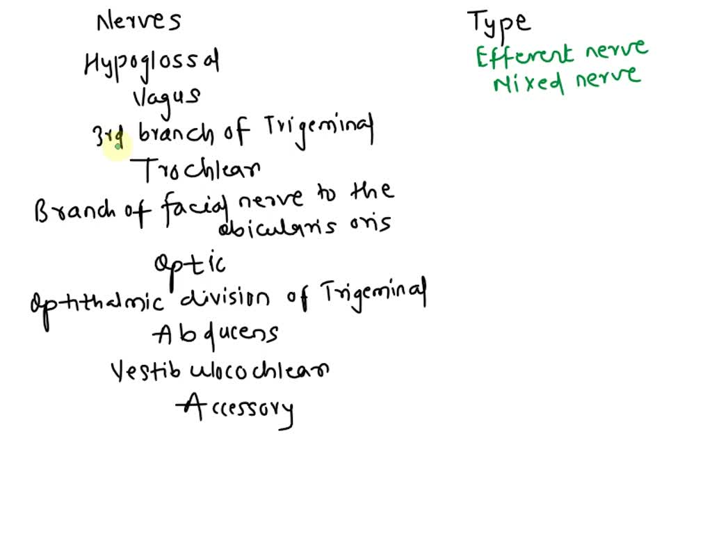 SOLVED: Sensory innervation of the upper teeth and gums is provided by ...