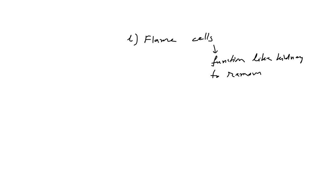 SOLVED: ) Cells in the Flat worms that are responsible for water ...