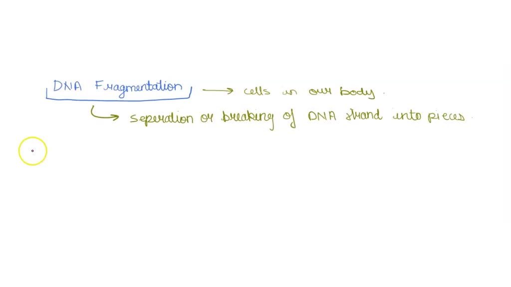 SOLVED: What is DNA fragmentation and why is it helpful for the ...