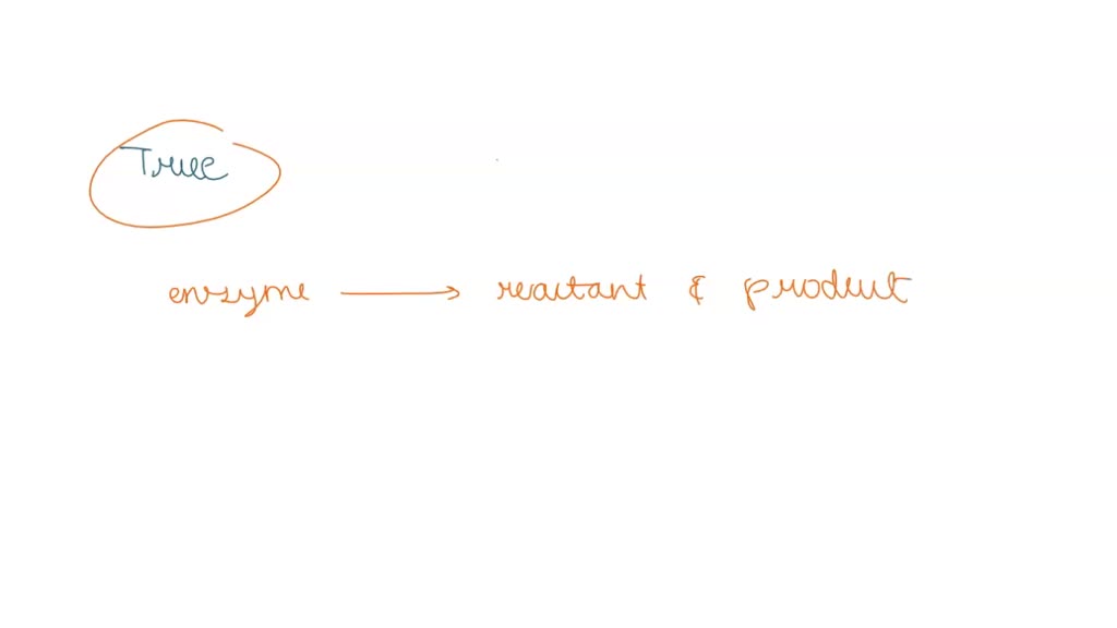 Solved In Bi Substrate Reactions The Substrates Always Bind To The Enzyme In A Specific Order