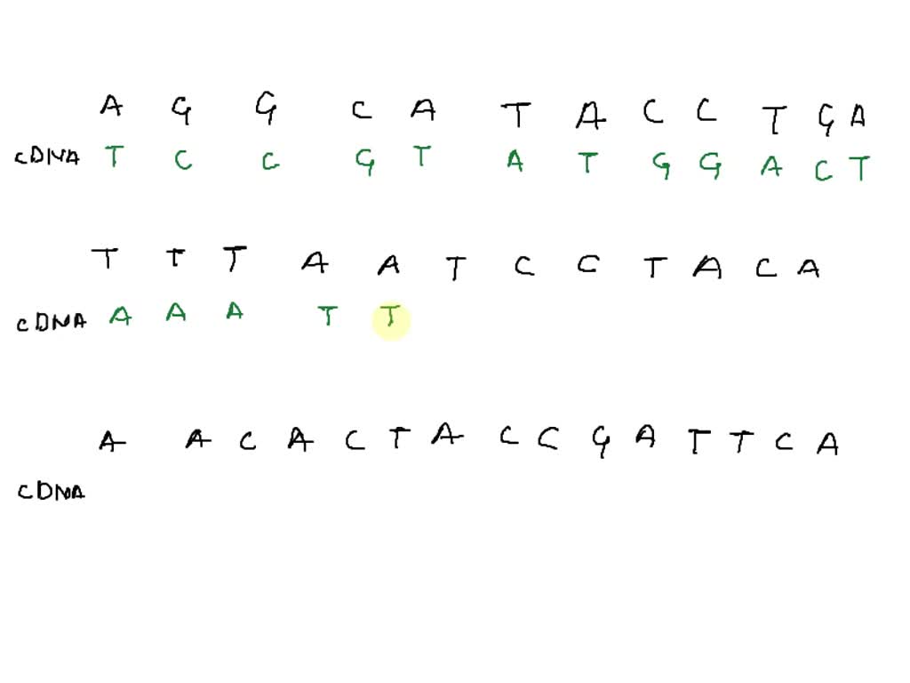 How To Write Dna Complementary Sequence - vrogue.co How To Write Dna Complementary Sequence - vrogue.co