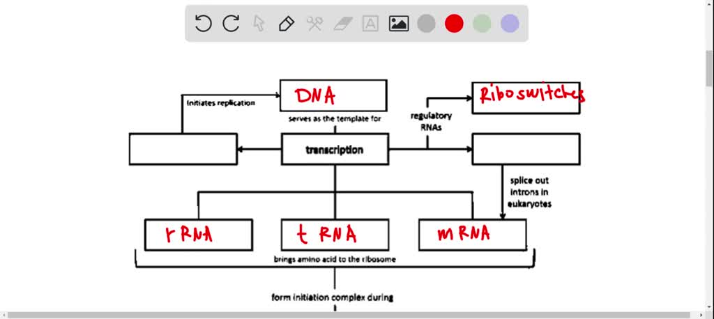 SOLVED: Drag and drop the labels into the correct empty boxes to ...