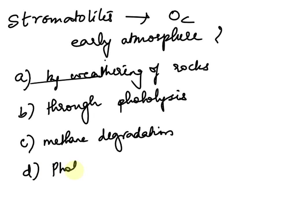 SOLVED: How did stromatolites contribute oxygen to the early atmosphere ...