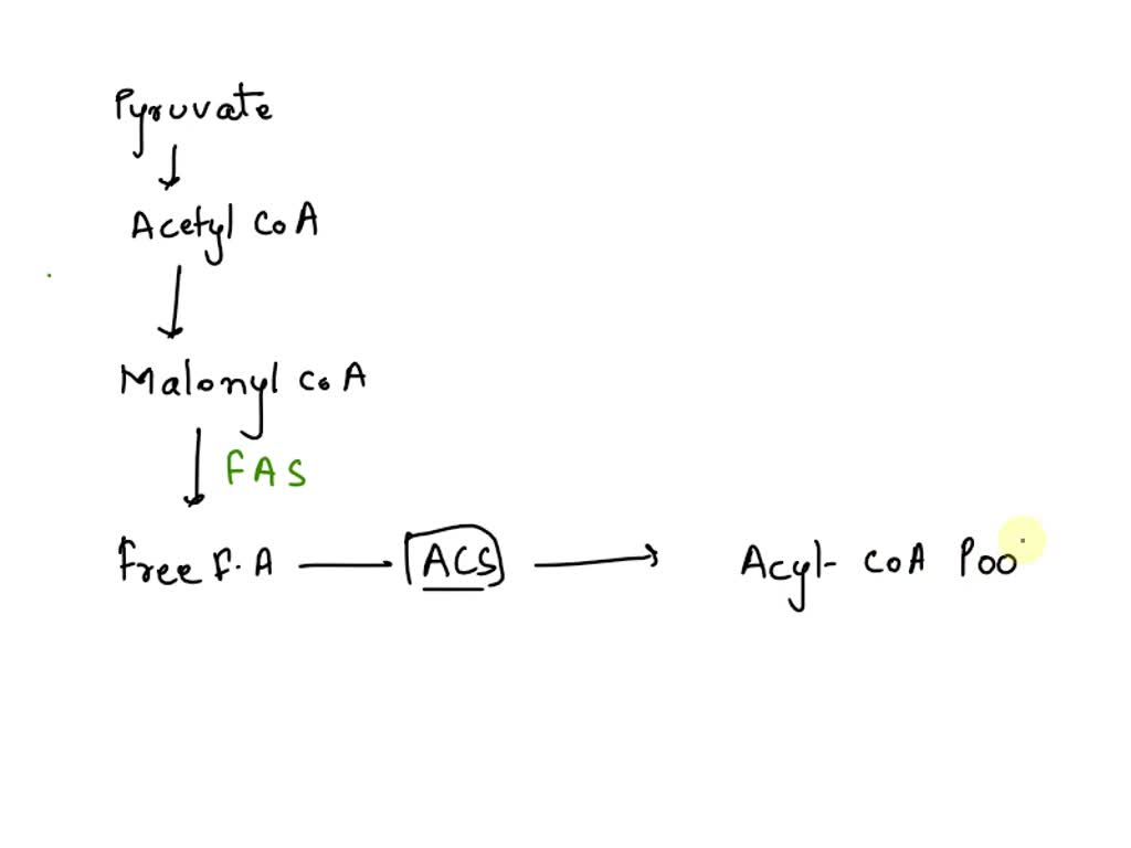 SOLVED: Explain de novo synthesis of cholesterol, its regulation and ... SOLVED: Explain de novo synthesis of cholesterol, its regulation and ...