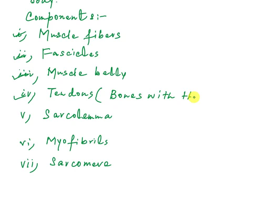 SOLVED: Procedure Model Inventory for Skeletal Muscle and Skeletal ...
