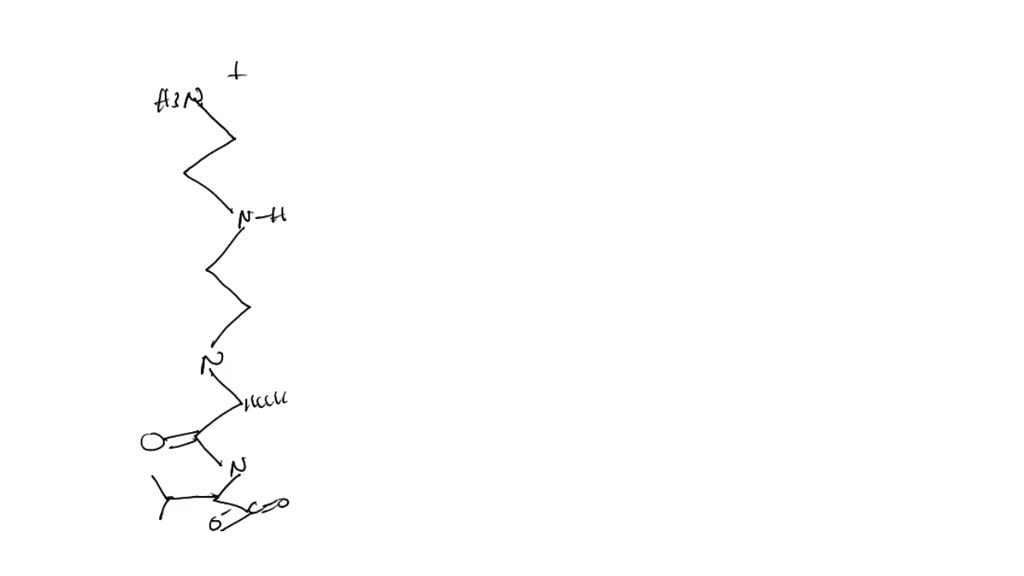SOLVED: Basic Concepts Worksheet 1.2 Description: Amino acids can be ...