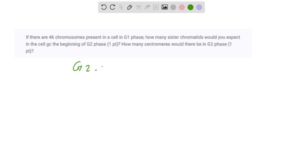 SOLVED: A cell begins G1 phase with 6 unreplicated chromosomes. This ...