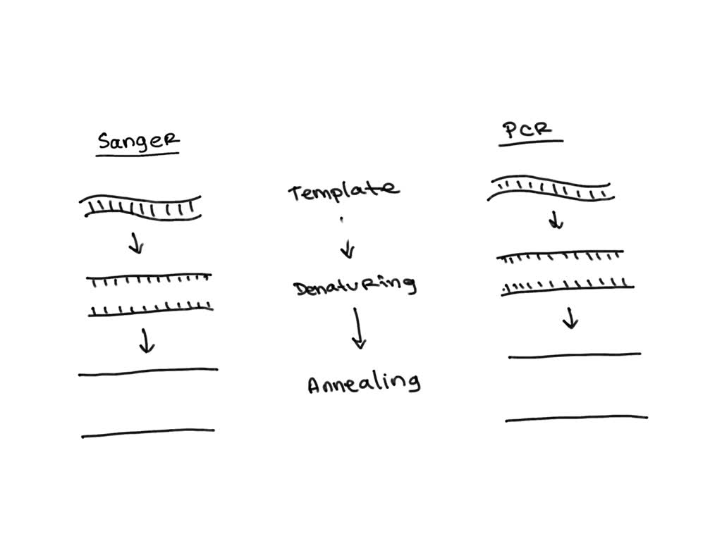 SOLVED: Although they share many approaches in common, there are ...